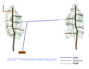 Using Trees as Antenna Supports – Practical Antennas