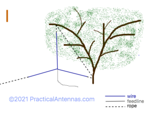 Using Trees as Antenna Supports – Practical Antennas