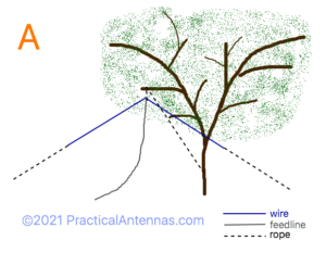Using Trees as Antenna Supports – Practical Antennas