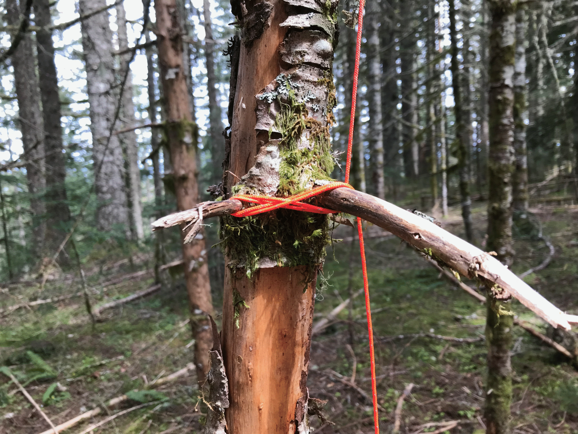 Alternatives to Knots – Practical Antennas